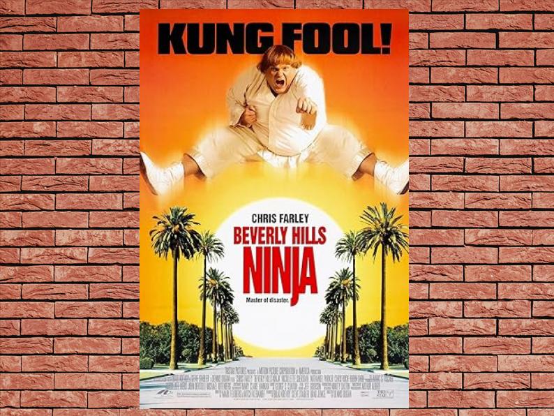 -Beverly Hills Ninja (1997)-The Original Movie - ClassicsOnPoint.com