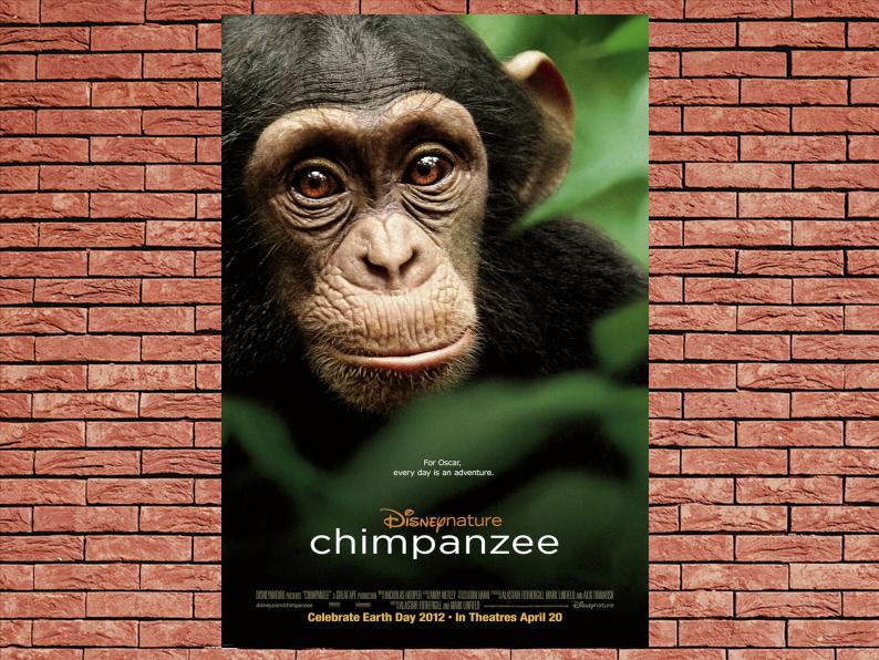-Chimpanzee (2012)-The Original Movie - ClassicsOnPoint.com