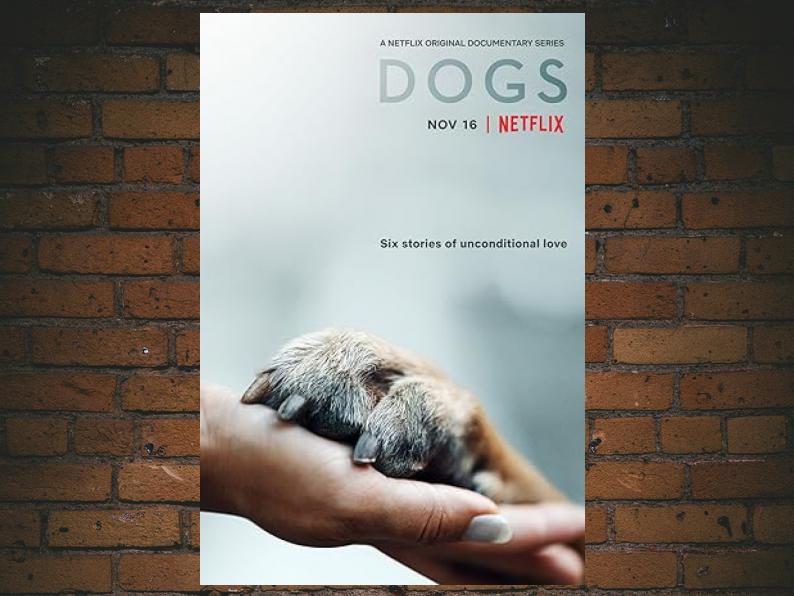 -Dogs (2018)-The Complete Series - ClassicsOnPoint.com