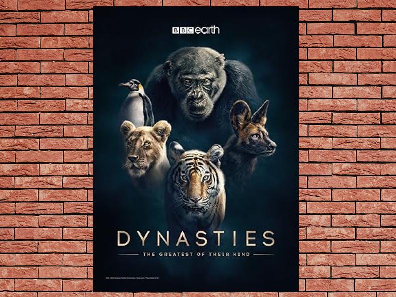 -Dynasties (2018)-The Complete Series - ClassicsOnPoint.com