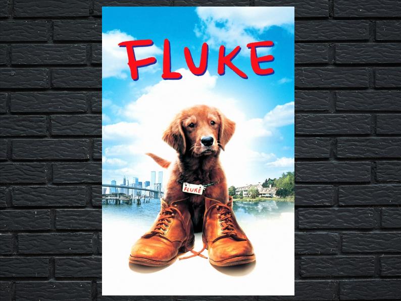 -Fluke - (1995)-The Original Movie - ClassicsOnPoint.com