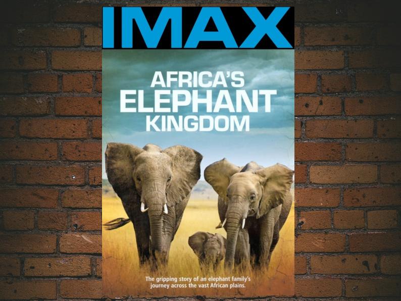 -IMAX Africa's Elephant Kingdom (1998)-The Original Movie - ClassicsOnPoint.com