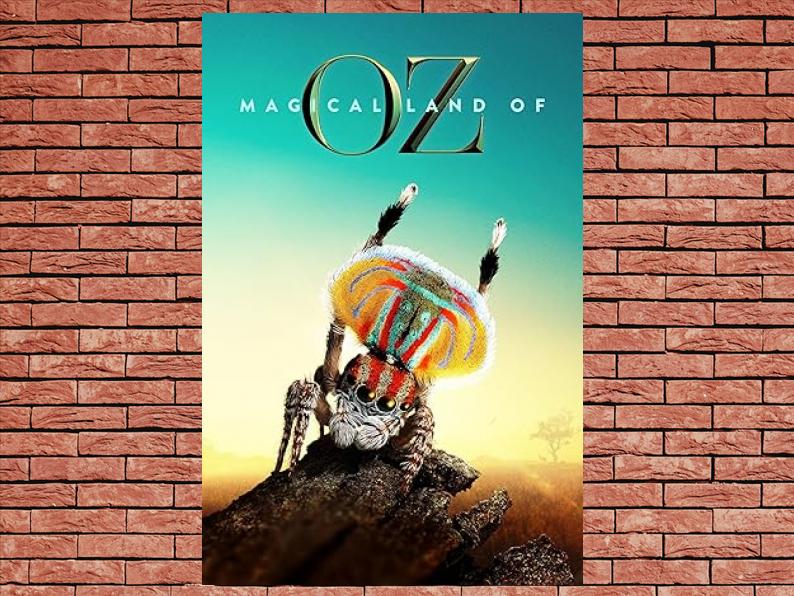 -Magical Land of Oz (2019)-The Complete Series - ClassicsOnPoint.com