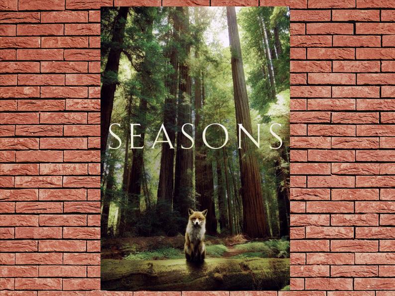 -Seasons (2016)-The Original Movie - ClassicsOnPoint.com