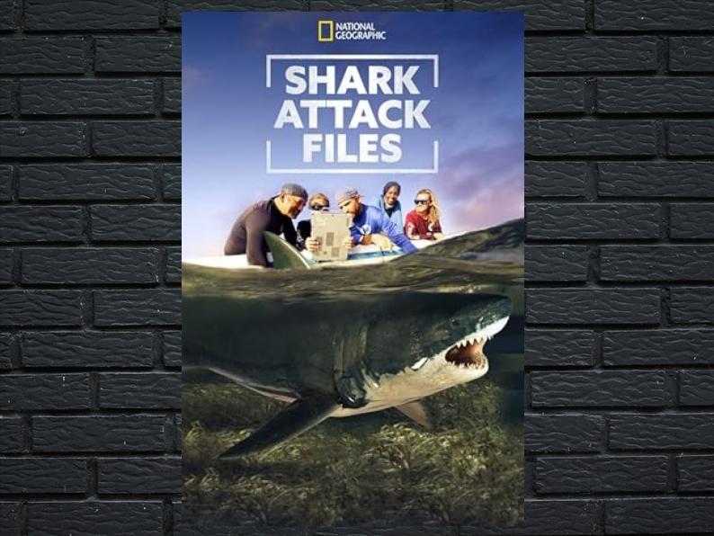 -Shark Attack Files (2021)-The Complete Series - ClassicsOnPoint.com