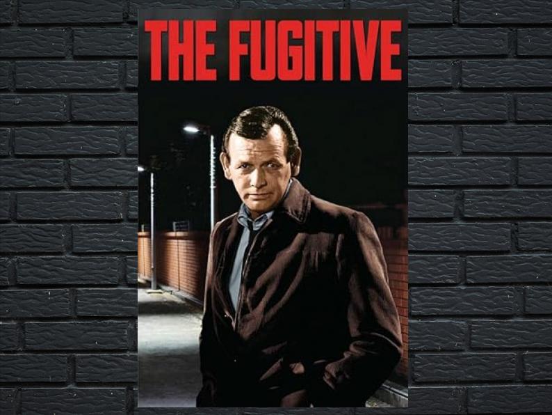 -The Fugitive (1963)-The Complete Series - ClassicsOnPoint.com