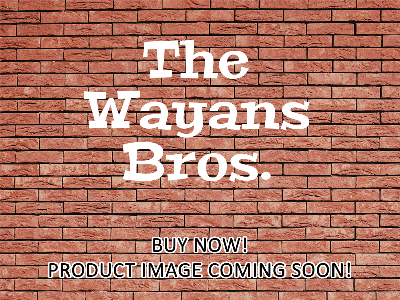 -The Wayans Bros. (1995)-The Complete Series - ClassicsOnPoint.com
