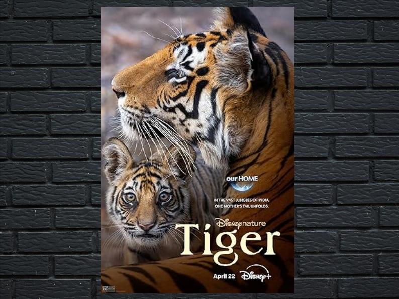 -Tiger (2024)-The Original Movie - ClassicsOnPoint.com