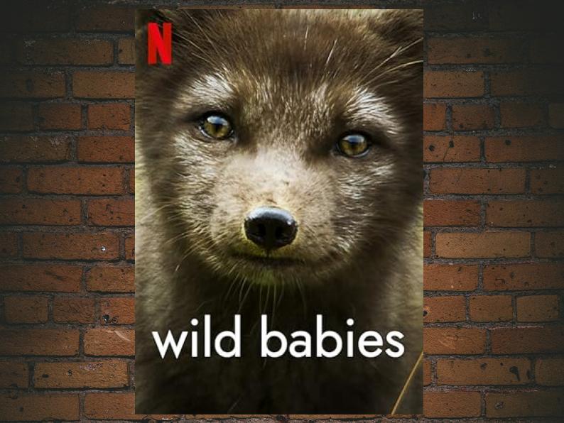 -Wild Babies (2022)-The Complete Series - ClassicsOnPoint.com