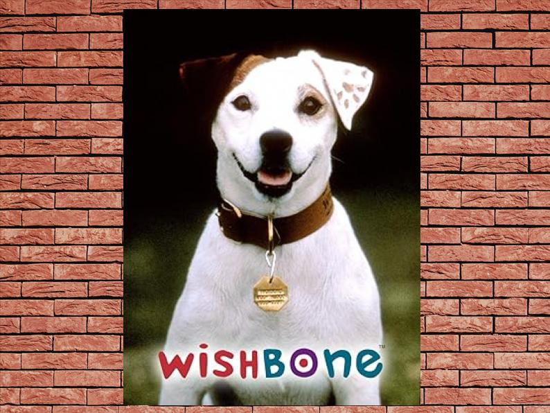 -Wishbone (1995)-The Complete Series - ClassicsOnPoint.com