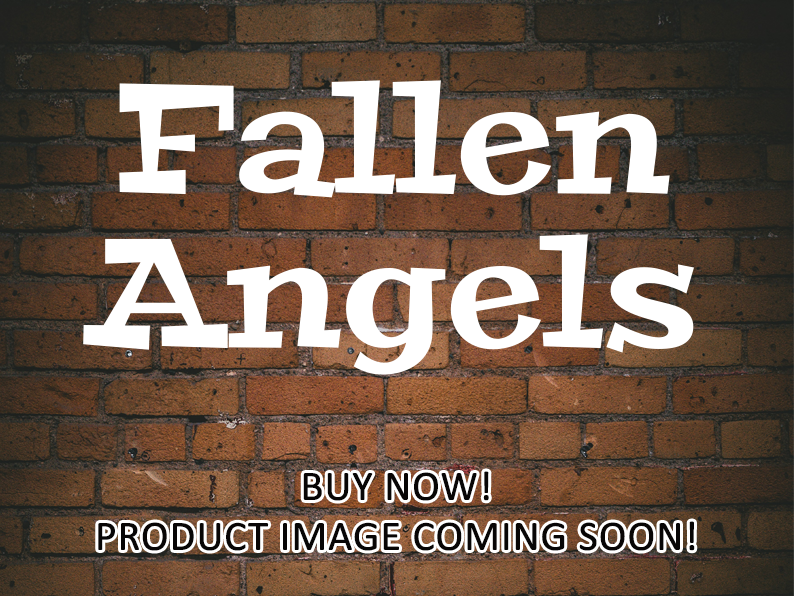 -Fallen Angels (1993)-The Complete Series - ClassicsOnPoint.com
