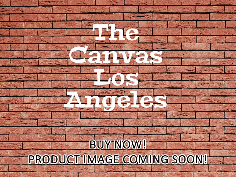 -The Canvas Los Angeles (2021)-The Complete Series - ClassicsOnPoint.com