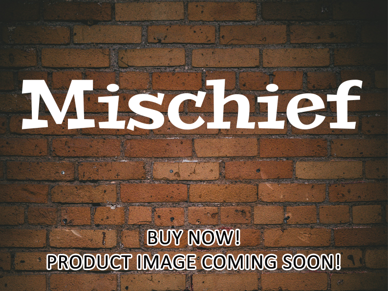 -Mischief (1985)-The Original Movie - ClassicsOnPoint.com