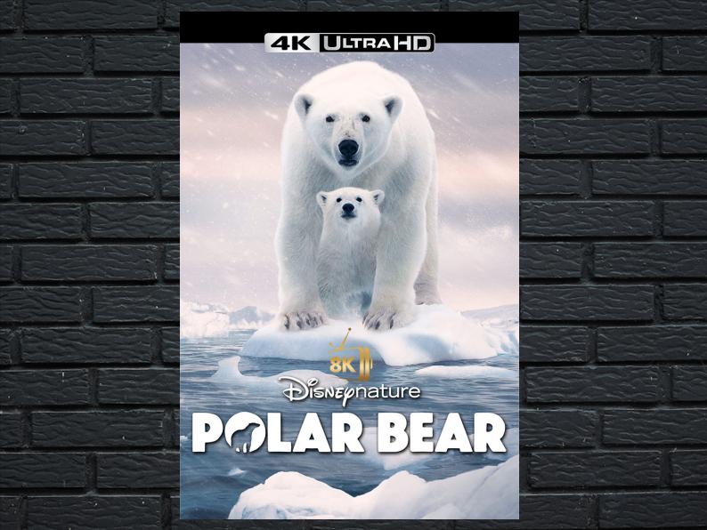 -Polar Bear (2022)-The Original Movie - ClassicsOnPoint.com