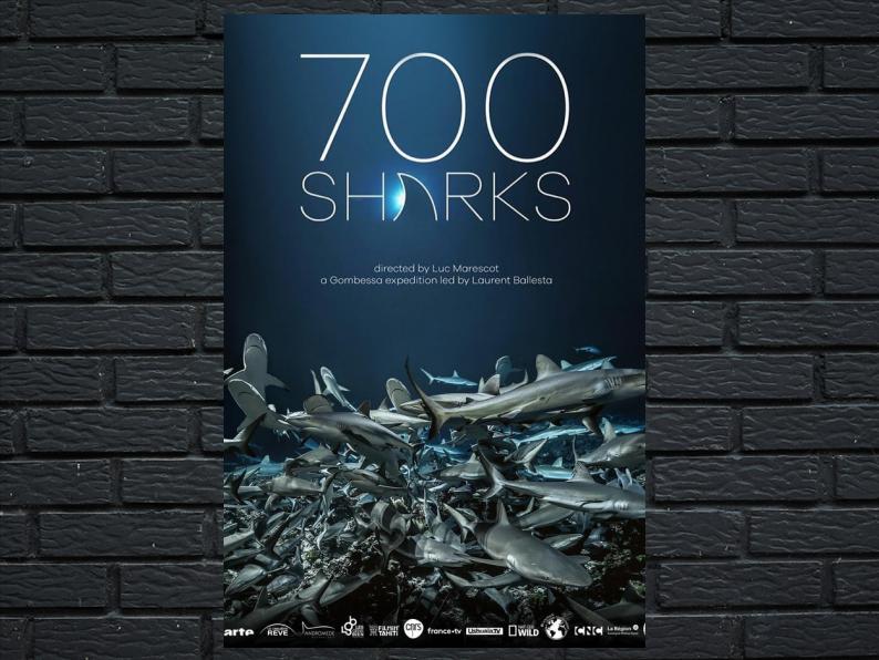 -700 Sharks (2018)-The Original Movie - ClassicsOnPoint.com