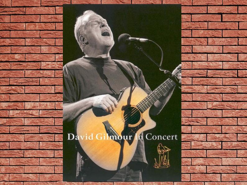 -David Gilmour: In Concert (2002)-The Original Movie - ClassicsOnPoint.com