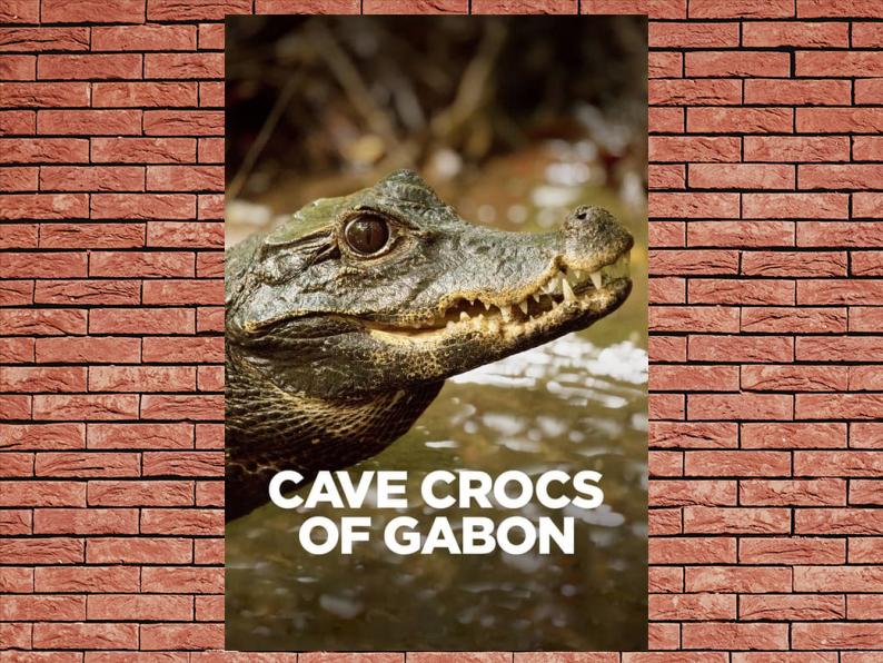 -Cave Crocs of Gabon (2018)-The Original Movie - ClassicsOnPoint.com