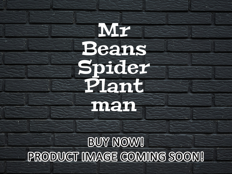-Mr Beans Spider Plant man (2009)-The Original Movie - ClassicsOnPoint.com